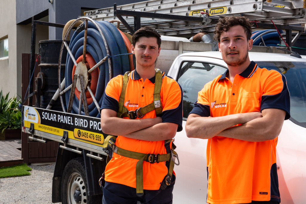 Bird Proofing Solar Panels | Bird Netting, Control & Trapping Melbourne
