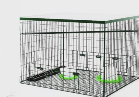 Eagle Eye Bird Control | Bird Detterent Spray, Strips & Spikes