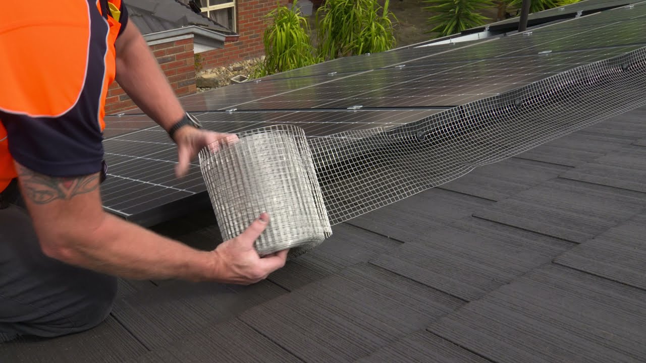 Bird Proof Solar Introduction